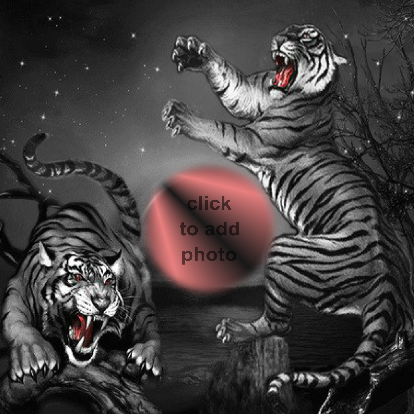 TAMMYBRANTLEY's Picture Frames - 2012 April - White Tigers In The ...