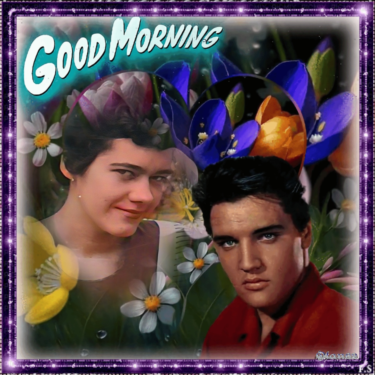 Otan62's Good Morning and Good Evening - Mum 💚 memories love Elvis ...