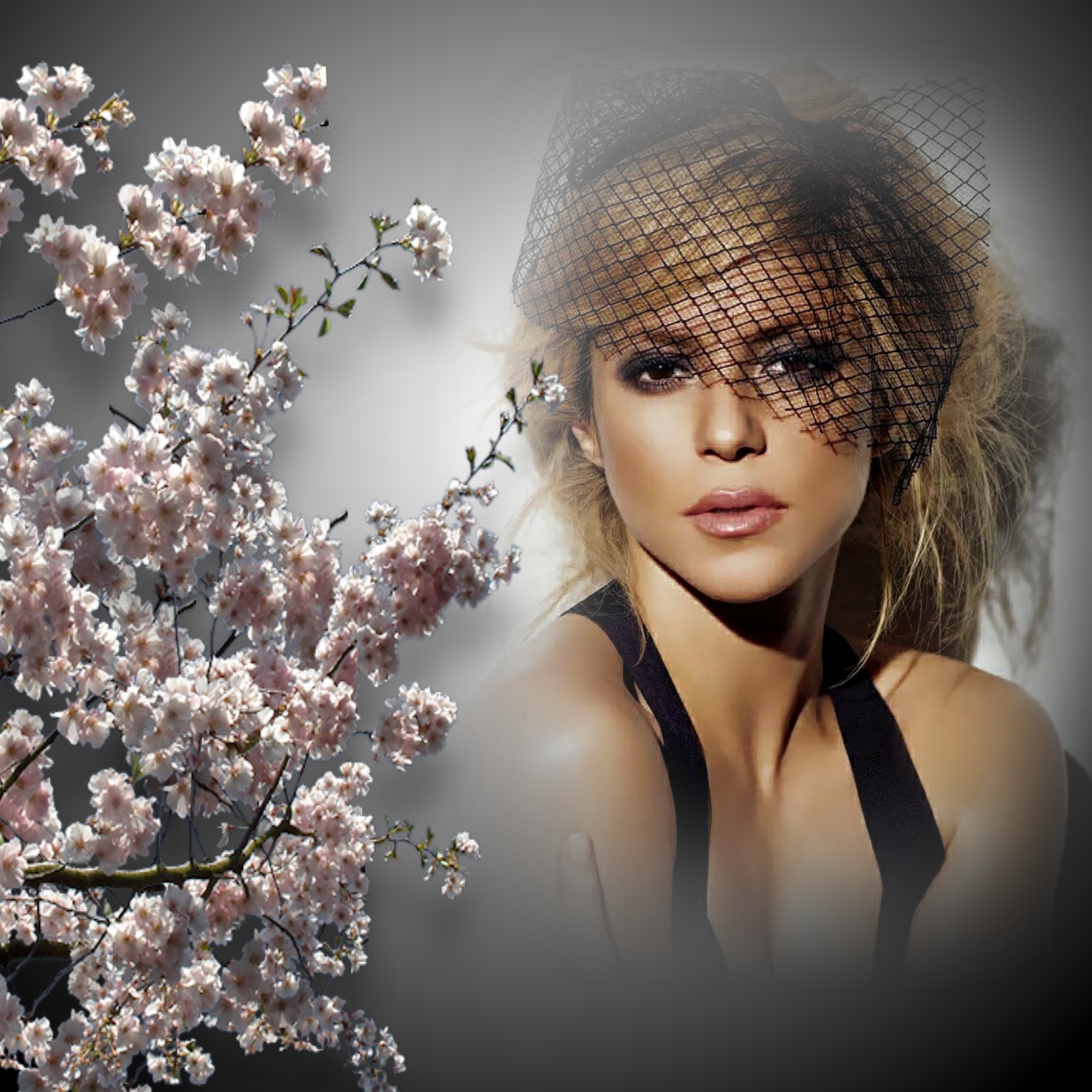 Elizabeth's THINKING OF/MISSING YOU 🌷2/4 - Baby Breath Gypsophila Good ...