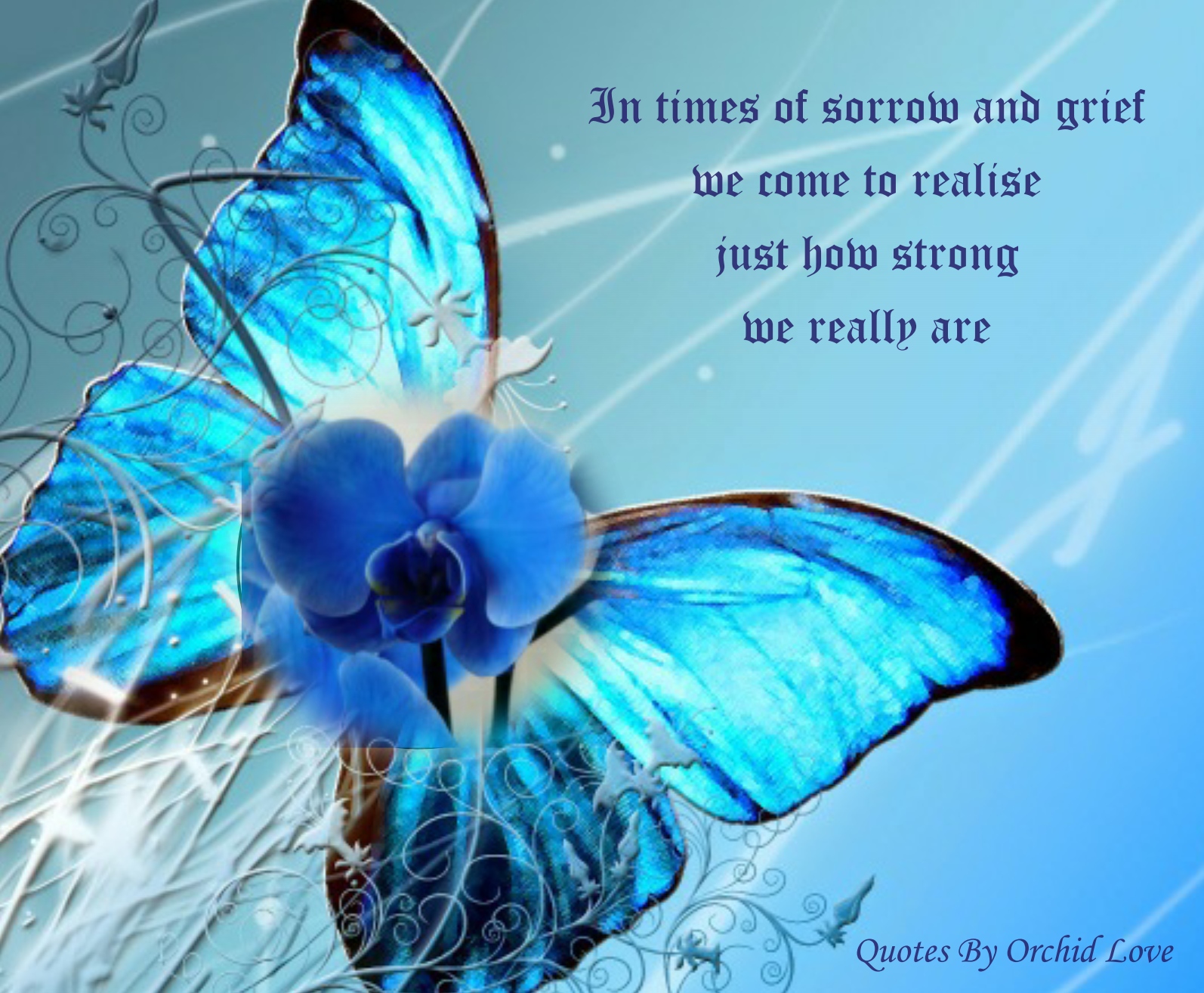 Tozzie's Kimi Frames - 2015 - Grief Tozzie - Grief Tozzie