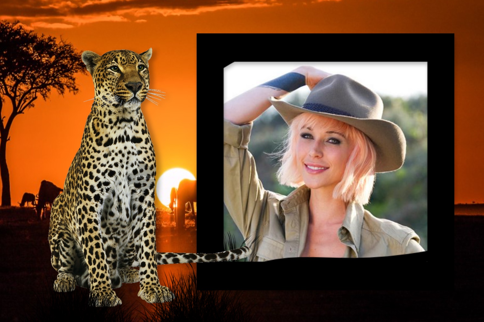 Elizabeth's ANIMALS & WILDLIFE 🙈 - Leopard Africa Nature - Leopard ...