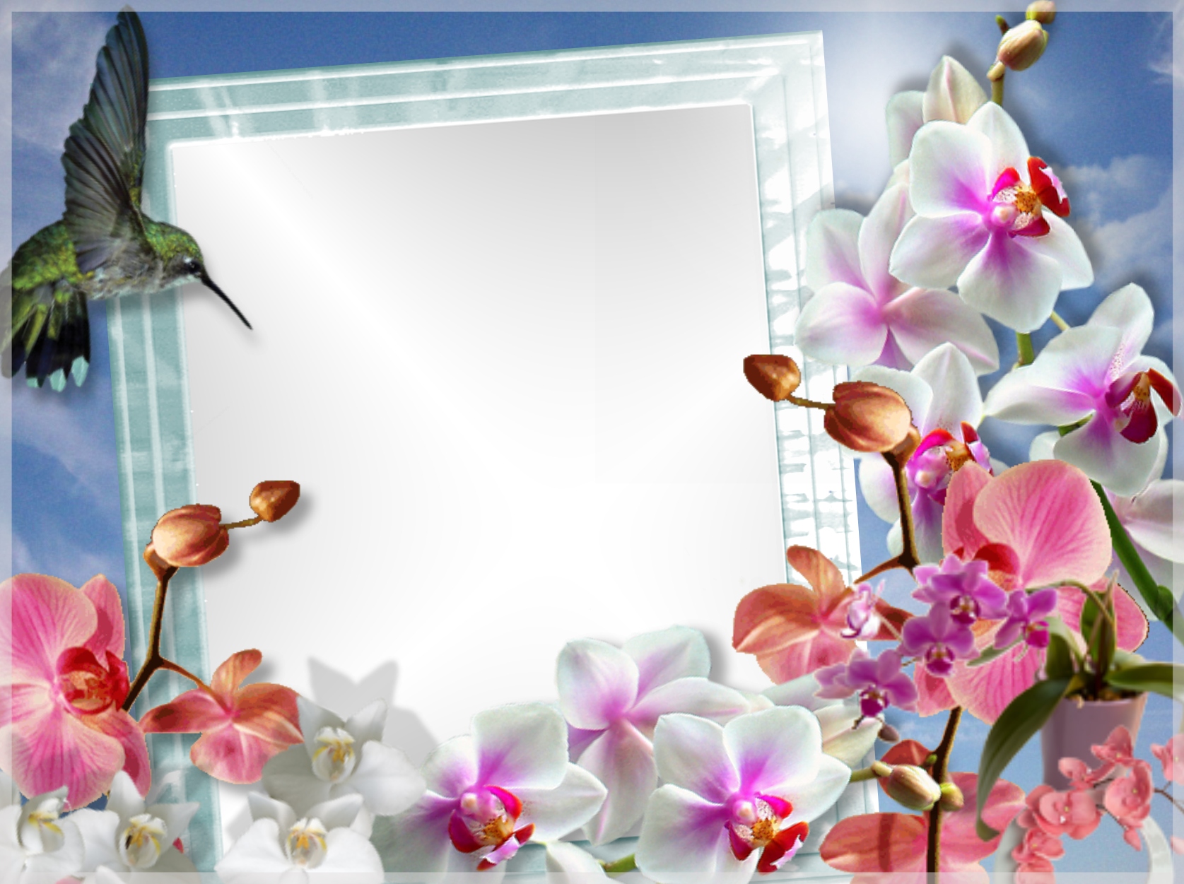 evmasy's Ohio Frames - 2009 - 2011 - flower power frame me glitter rose ...