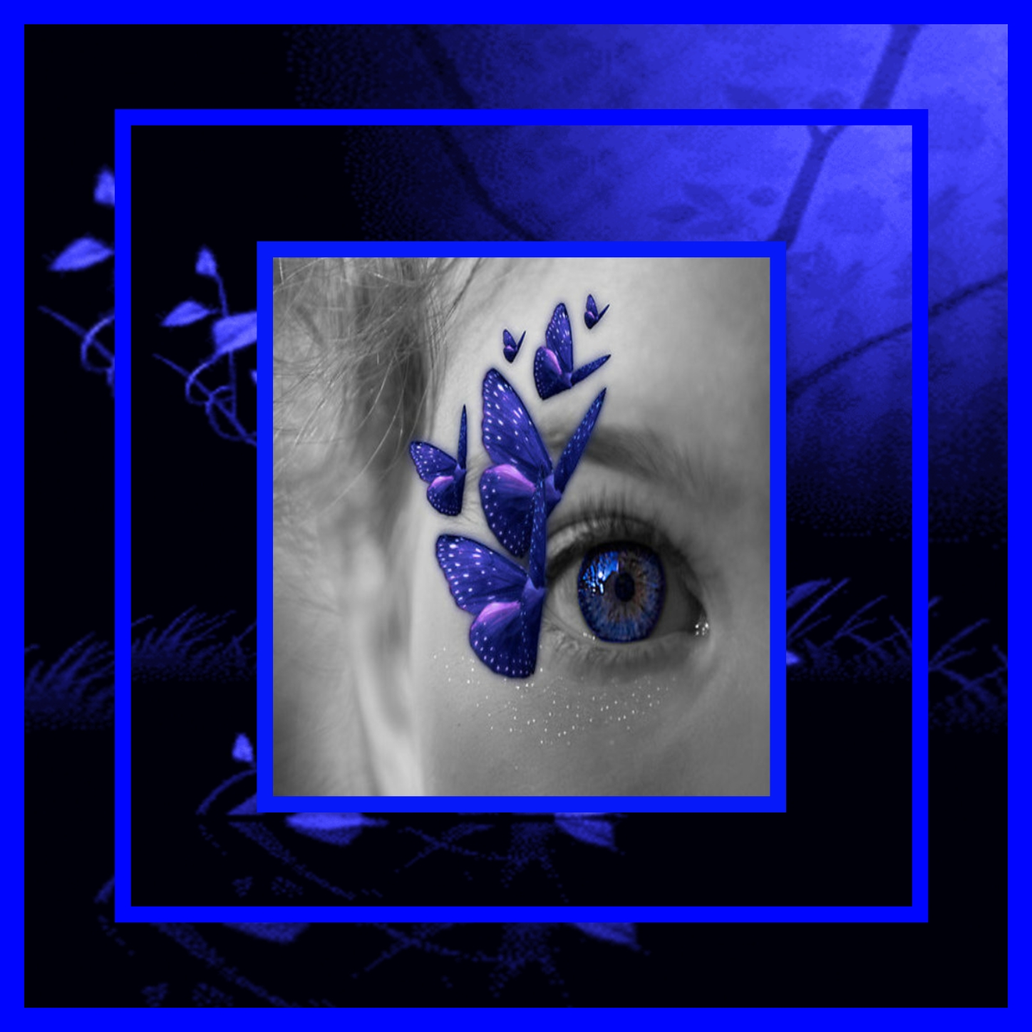 jbedwards007's Picture Frames - 2010 May - Butterfly Eye Picture Frame ...