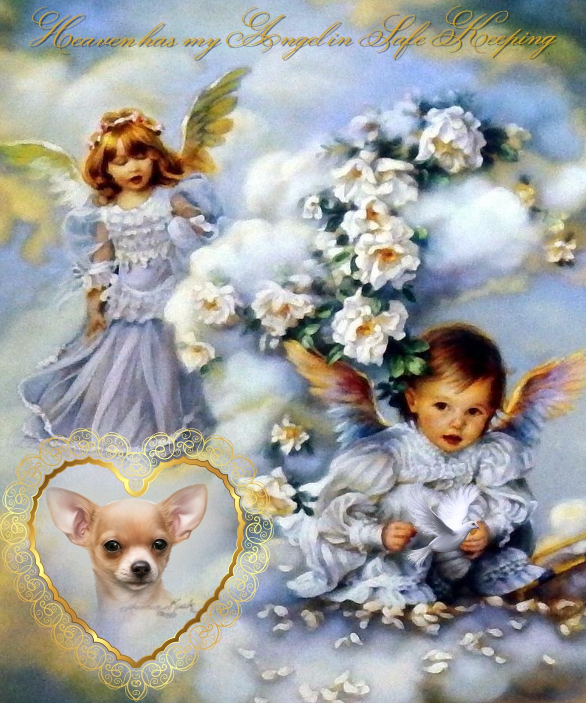 Elaine S Angels 2022 Angels 2022 Elaine S Angels 2022 Angels 2022