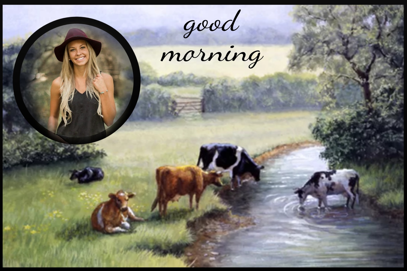 Mmhartley2's Everything Stream - Good Morning Cows Country Sunrise ...