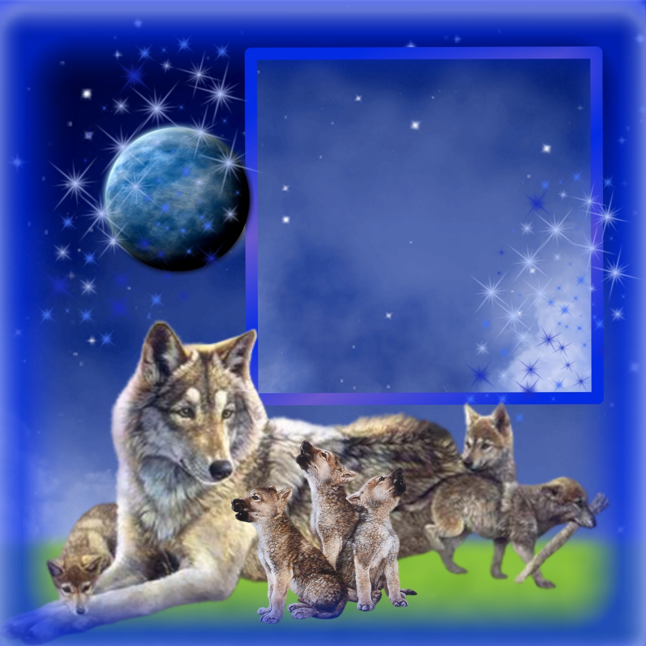 Sinnlich's Wildlife Frames - 2021 - Wolf Family Night Sinnlich Wildlife ...