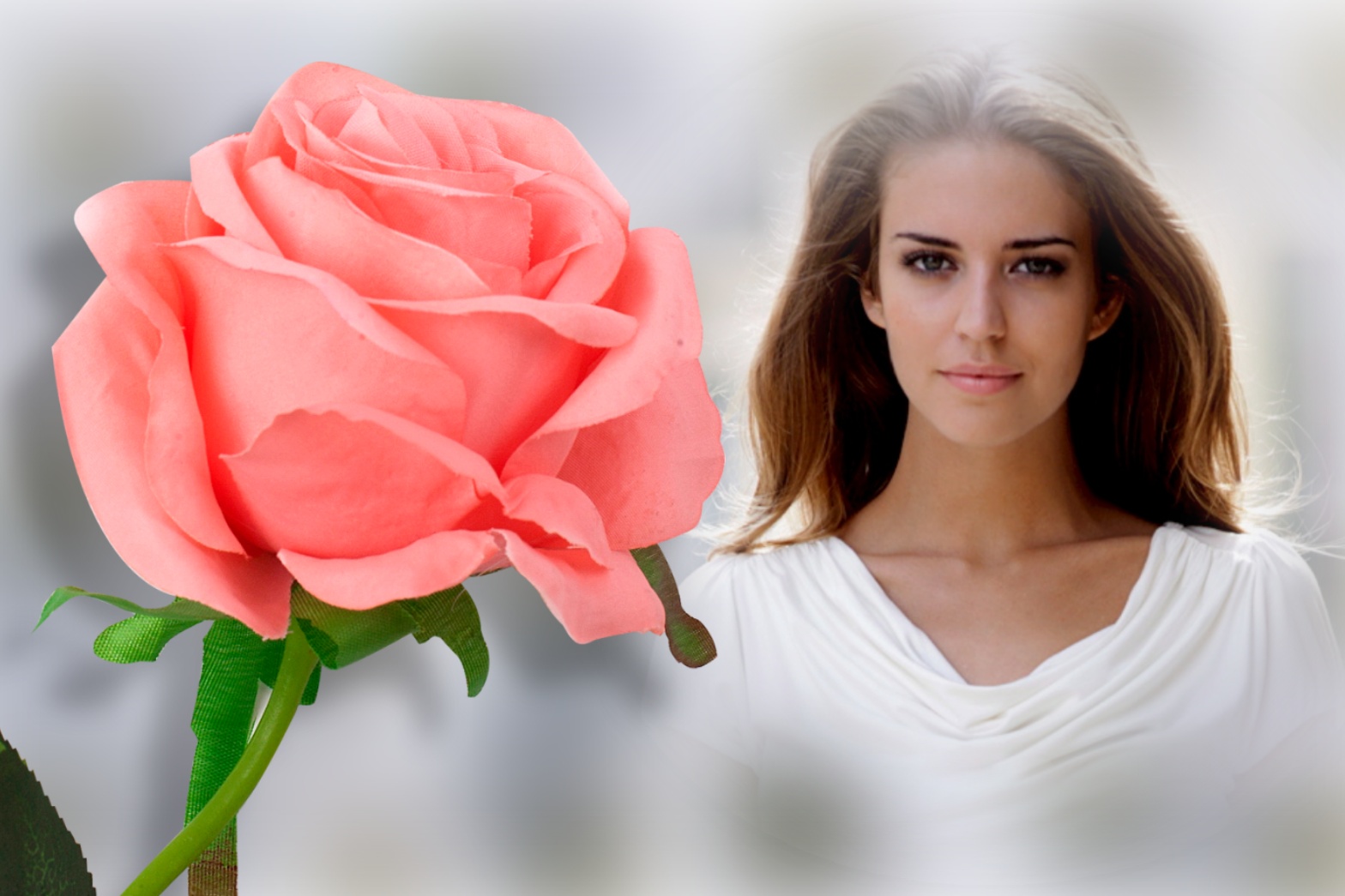 Elizabeth's GOOD MORNING/DAY/NIGHT ⭐️ 2/3 - Haveagreatday Peach Rose ...