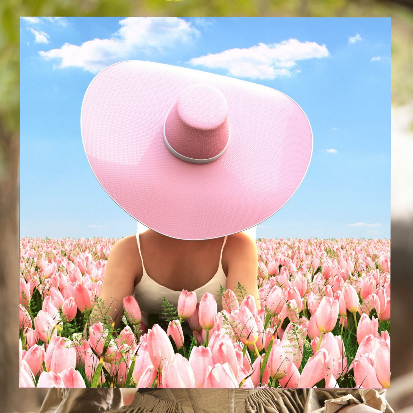 Cookielcd's Summer Frames - 2017 September - 2017 October - Pink Summer ...