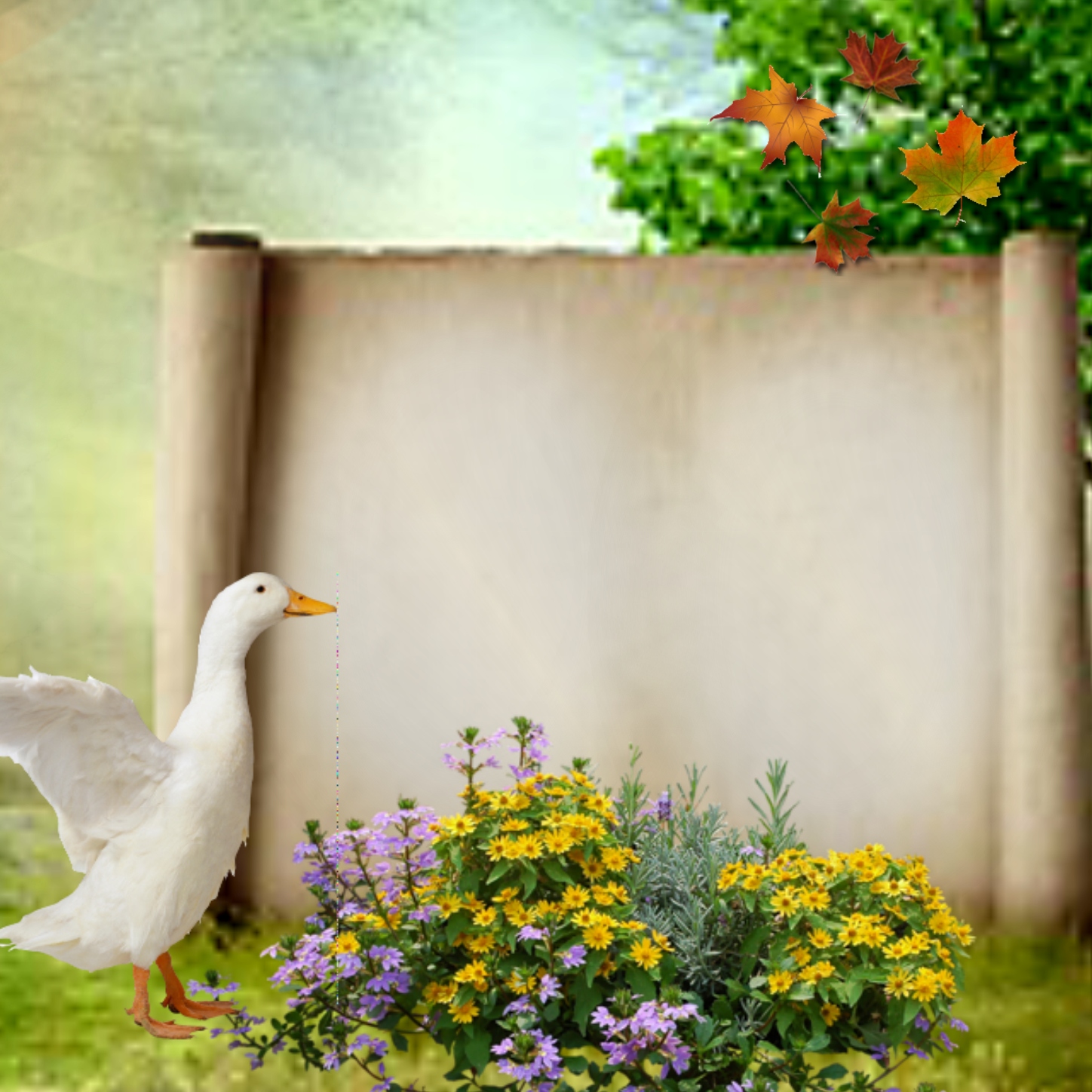 Emily50's Get Well Soon Frames - Approaching the Fall Ghy01 get Well ...