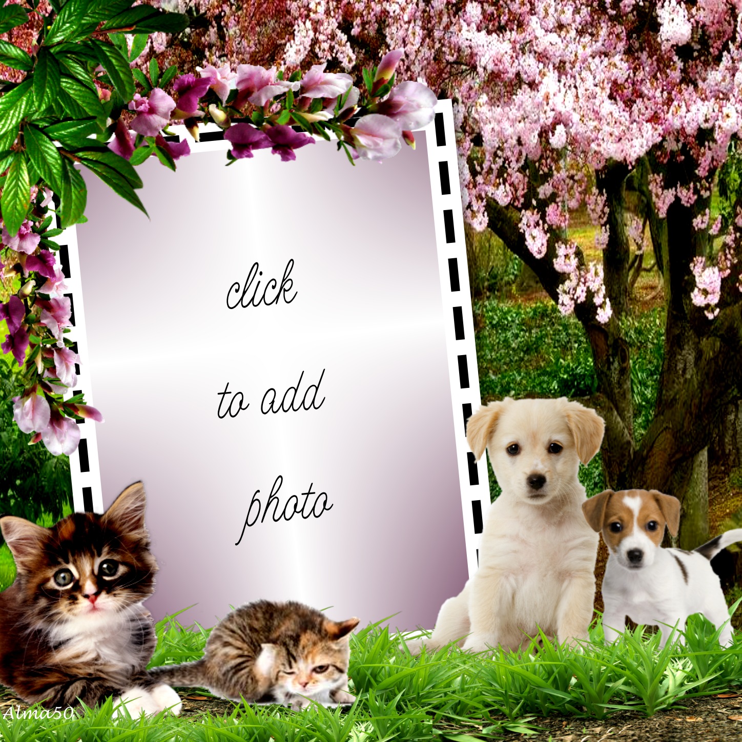 alma50's Wildlife Frames - 2010 - 2011 - My Friends Alma50 wildlife ...