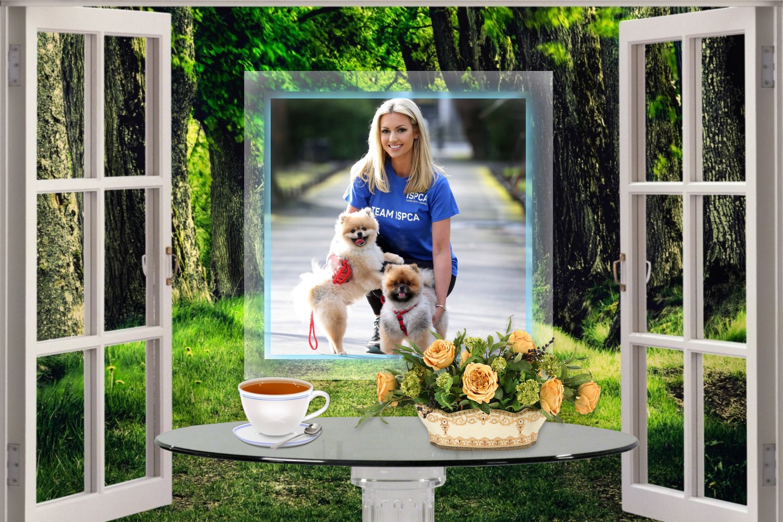 Elizabeth's GOOD MORNING/DAY/NIGHT ⭐️ 3/3 - Good Morning Haveagreatday ...