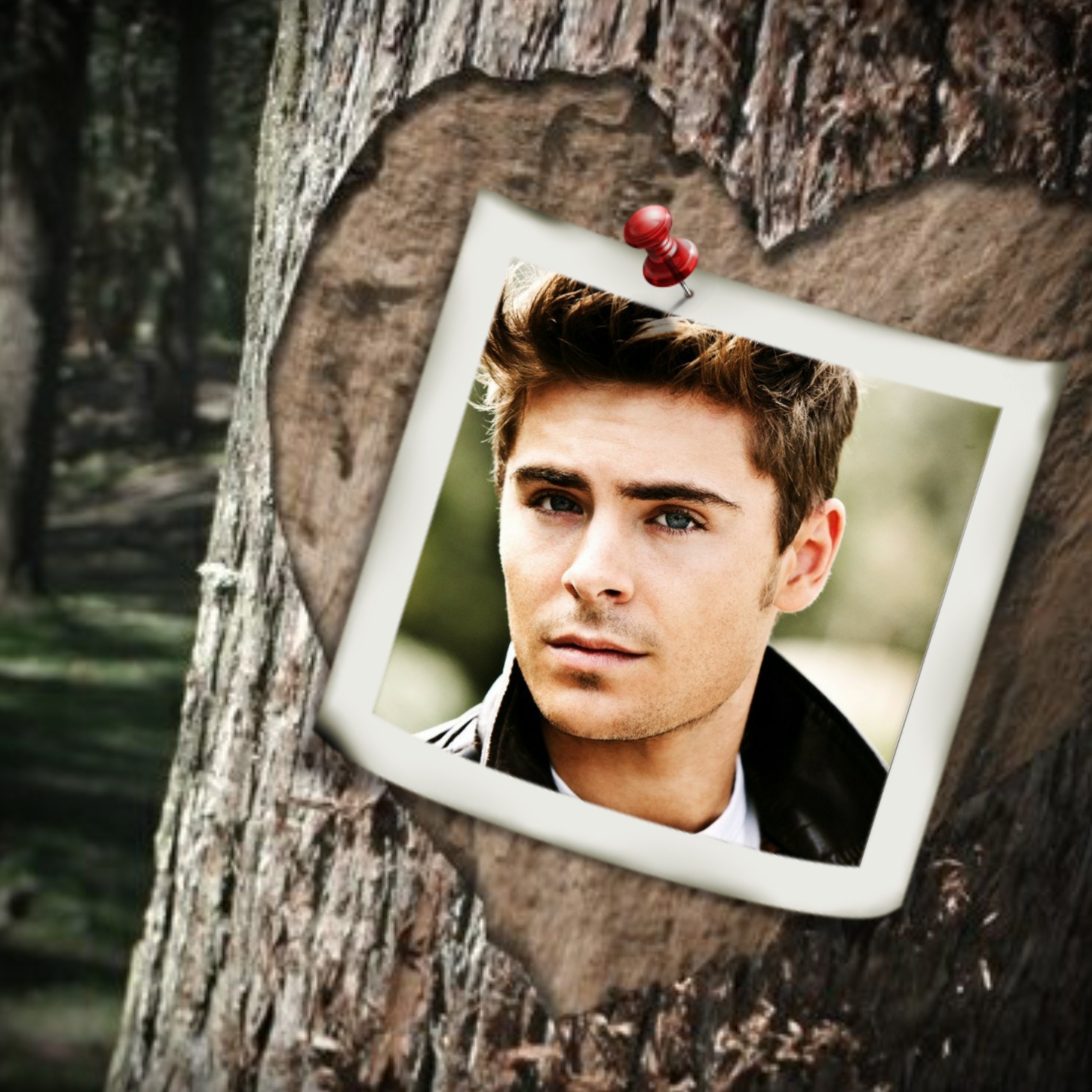 Jezebel64's Love 💝 - Sweetheart Tree Jezebel64 i Love You - Sweetheart ...