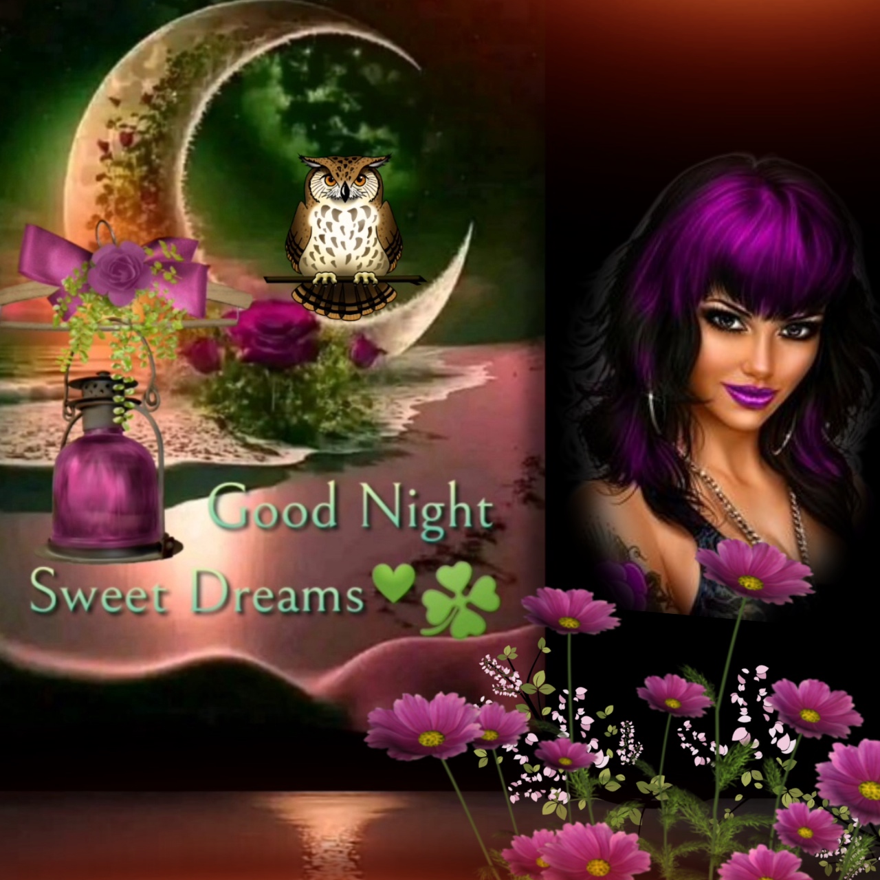 Wienie Coppen's Flowers,Goodnight,Sunset - goodnight owl sweetdreams ...