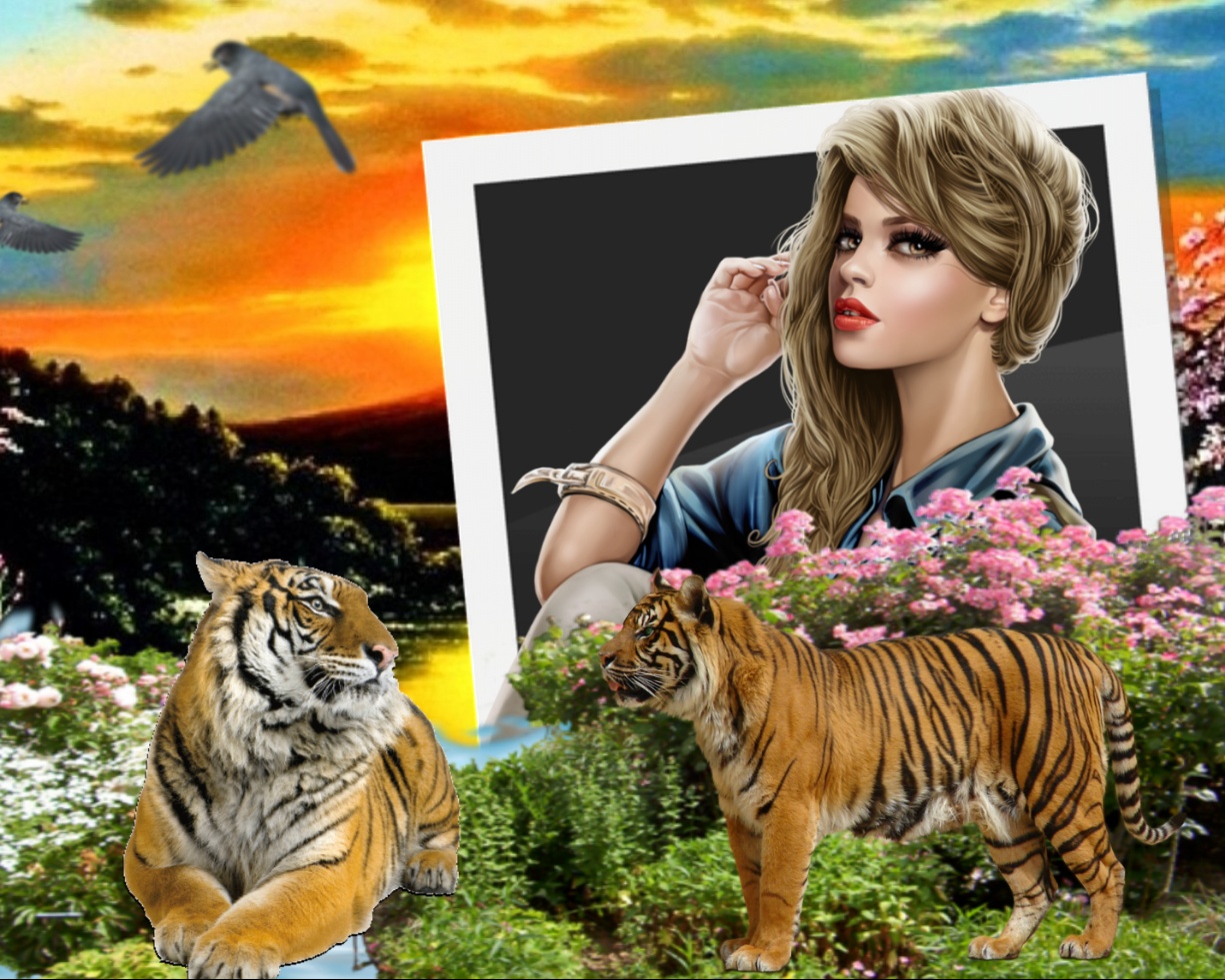 It'sMichelle's Wildlife Frames - Beautiful Tigers Wildlife Wilderness Nature - Beautiful Tigers ...
