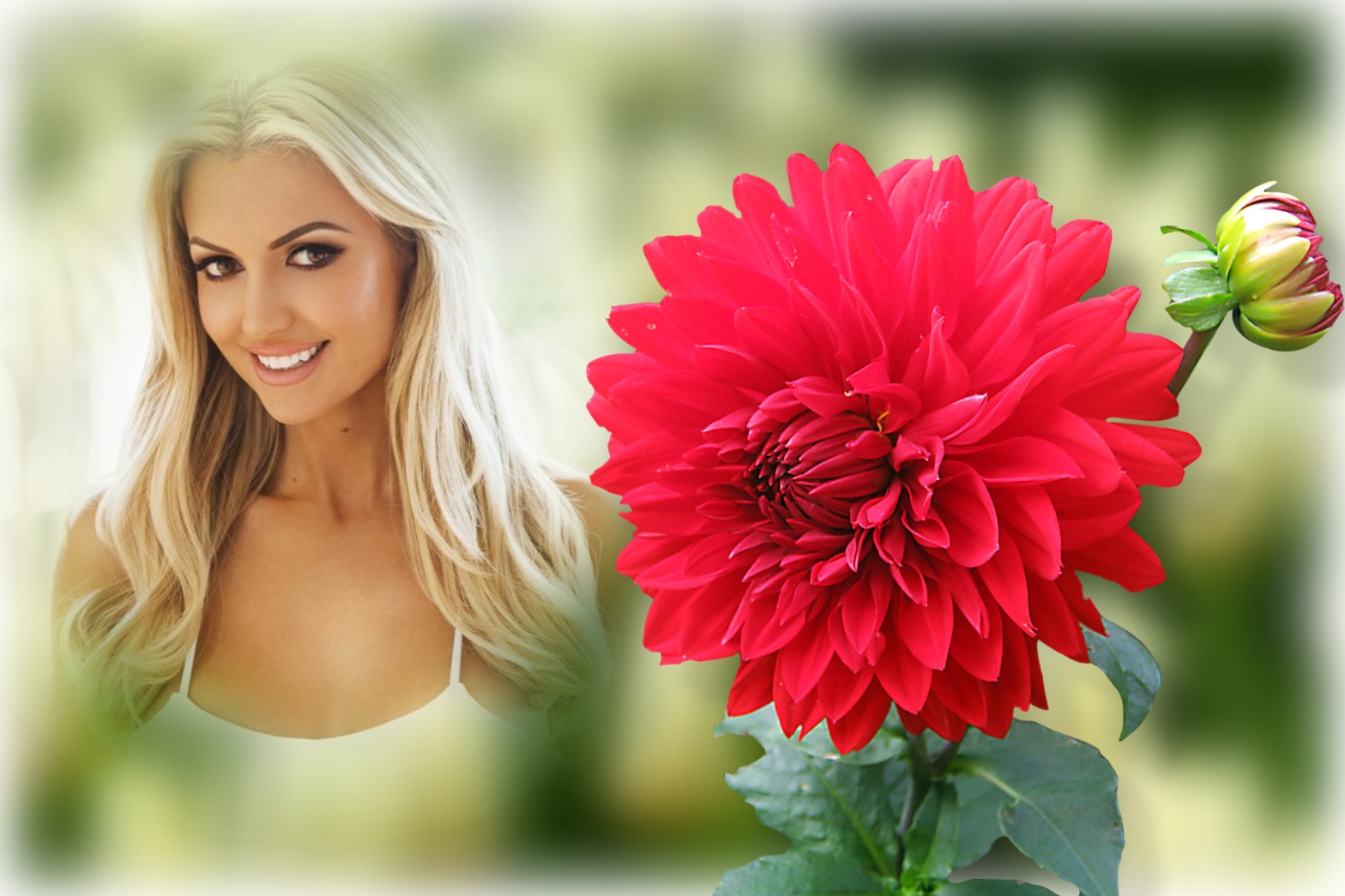 Elizabeth's GOOD MORNING/DAY/NIGHT ⭐️ 2/3 - Good Morning Haveagreatday ...