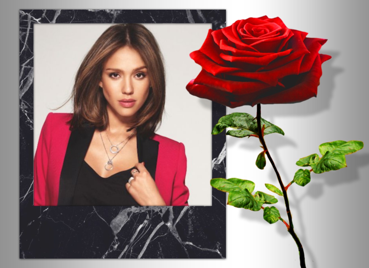 Jezebel64's Photo(s) Albums - Polaroid Jezebel64 Red Rose Portrait ...