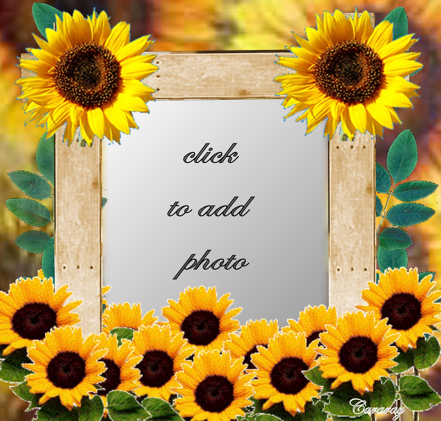 cararay's Picture Frames - 2009 July - Sunny Sunflower ! - Sunny ...