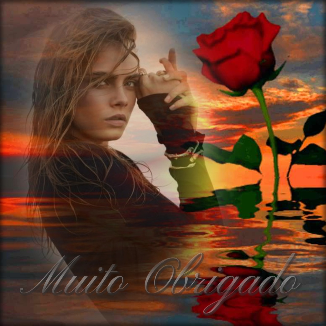 Adelaide's THANK YOU / OBRIGADO - Adelaide Thank You Muito Obrigado - Adelaide Thank You Muito ...