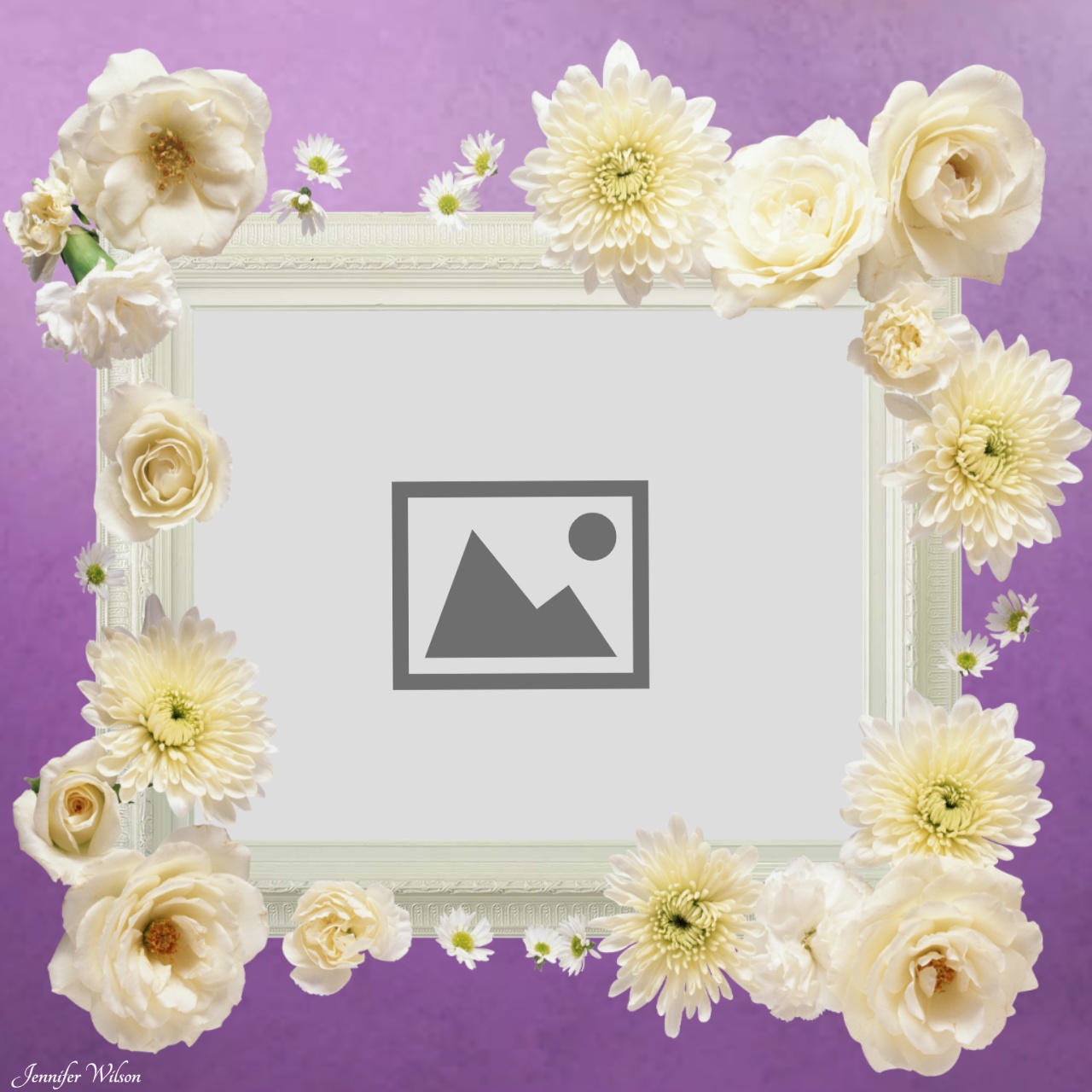 Jennifer Wilson's Roses - Jennifer Wilson's Roses