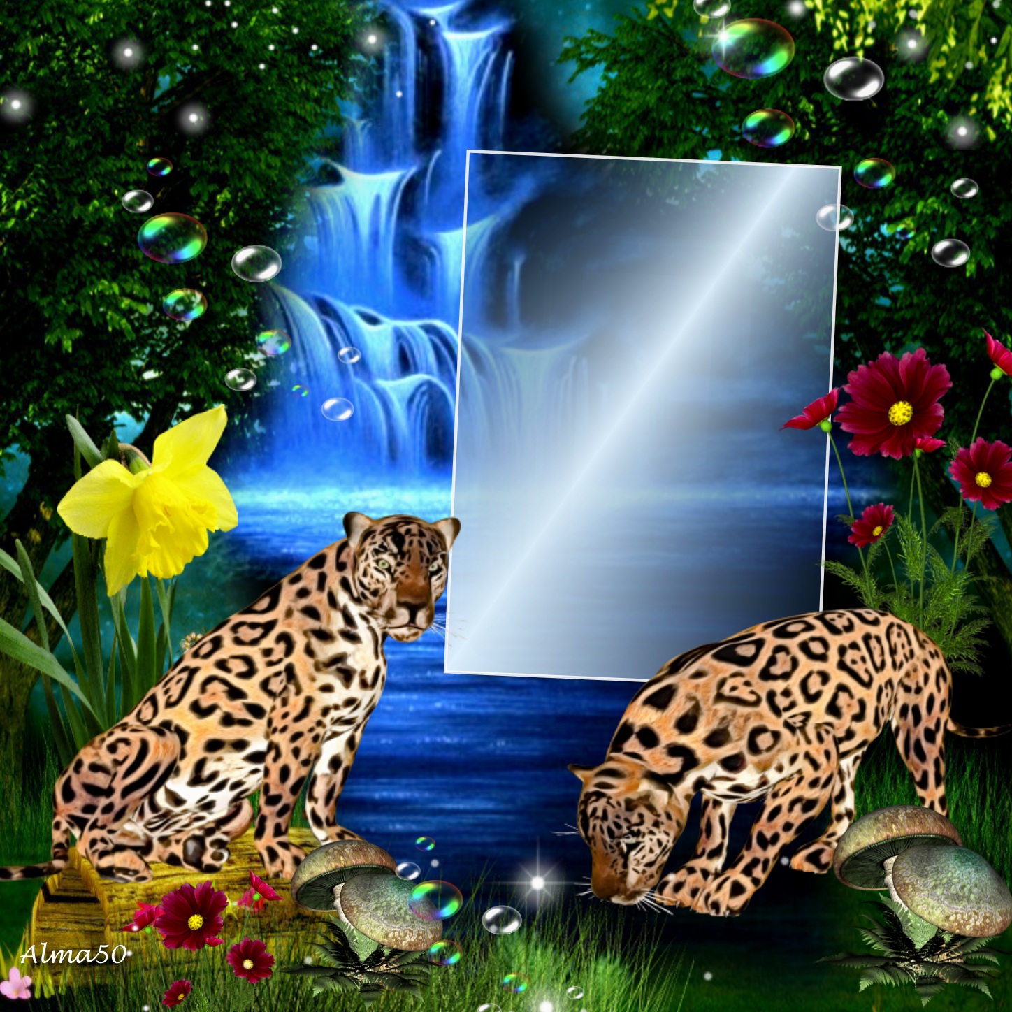 alma50's Wildlife Frames - 2013 - Nature Alma50 wildlife - Nature ...