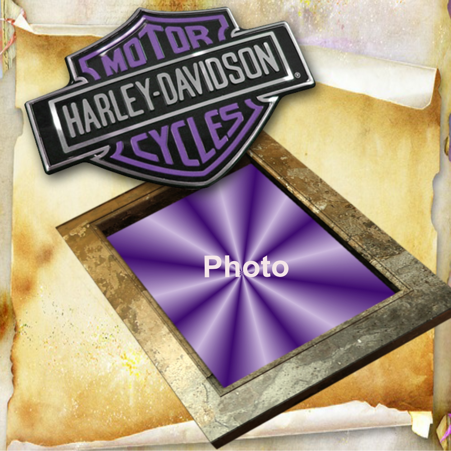 TAMMYBRANTLEY's What You Do Frames - 2013 March - 2013 April - Harley ...