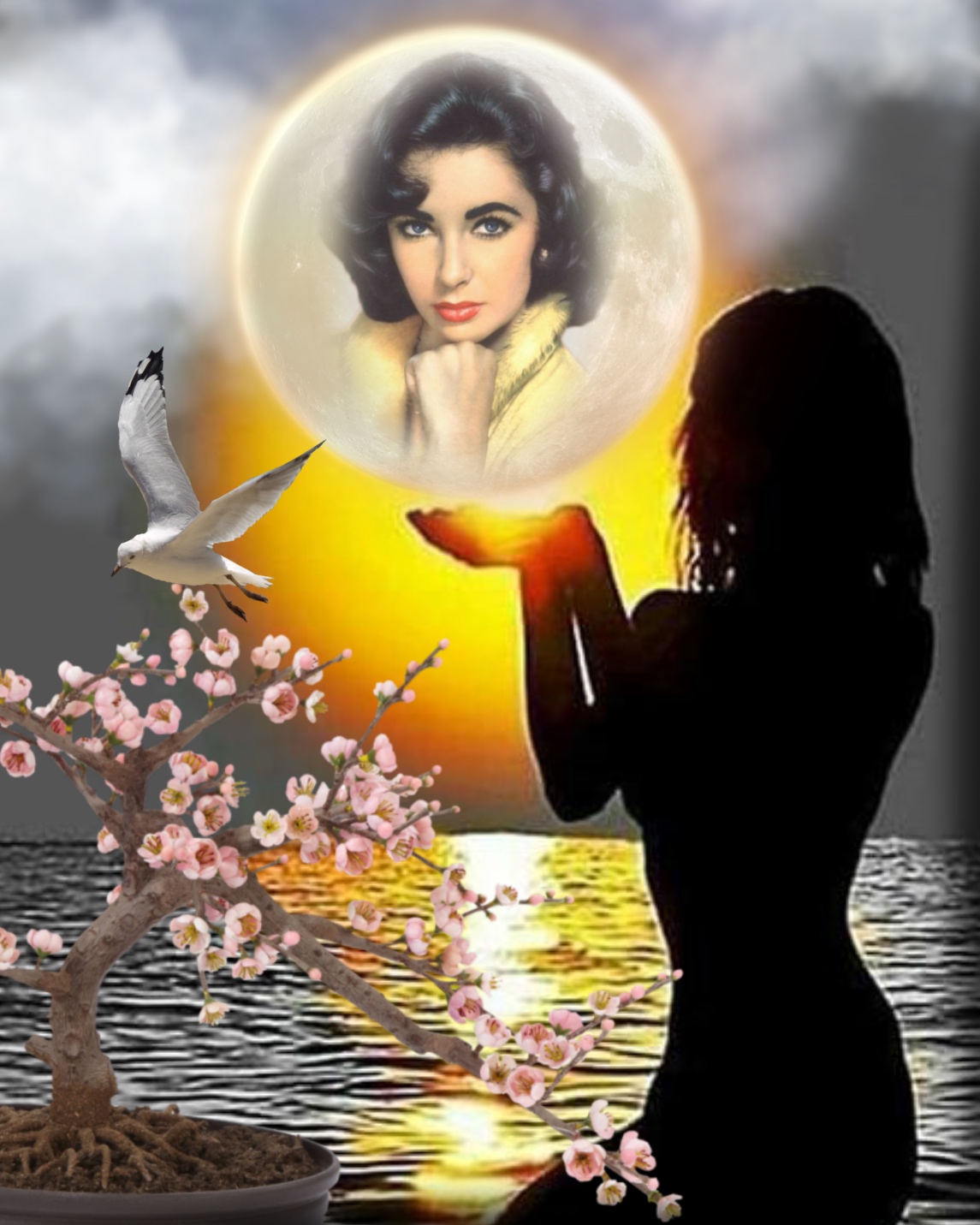 Wienie Coppen's Death,Dove,Grief - dove inlovingmemory rip - dove ...