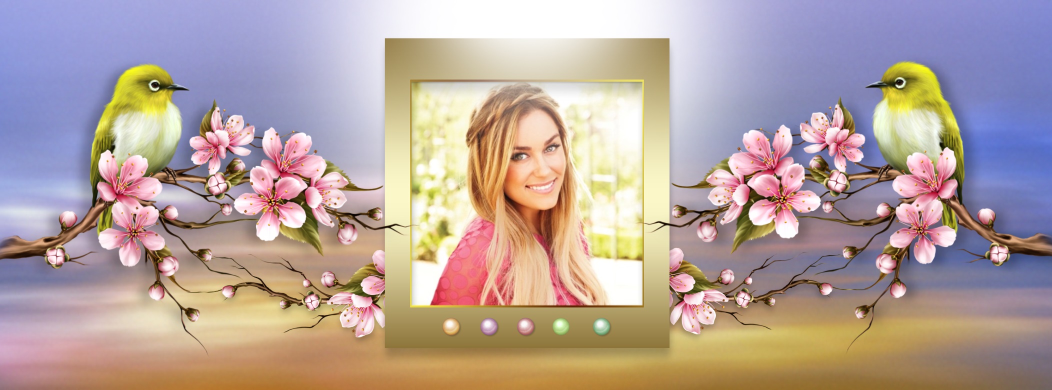 Elizabeth's FACEBOOK PROFILE COVER 🟦 - Facebook Profile Cover Social ...