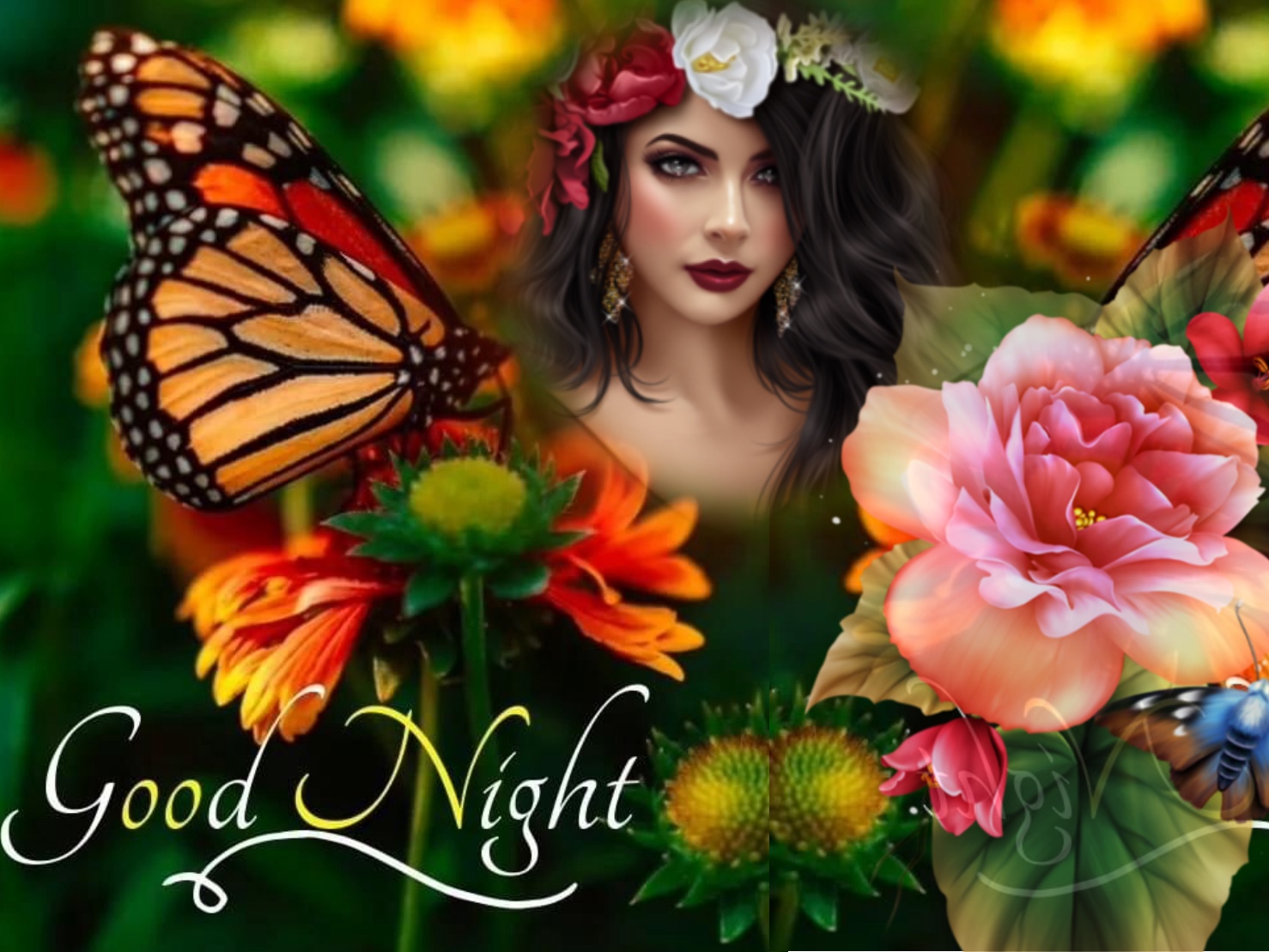 Wienie Coppen's Candles,Goodnight,Sunset - butterfly flowers goodnight ...