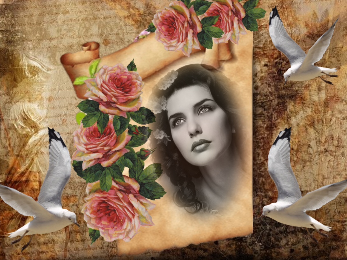 Wienie Coppen's Death,Dove,Grief - birds grieving inlovingmemory ...