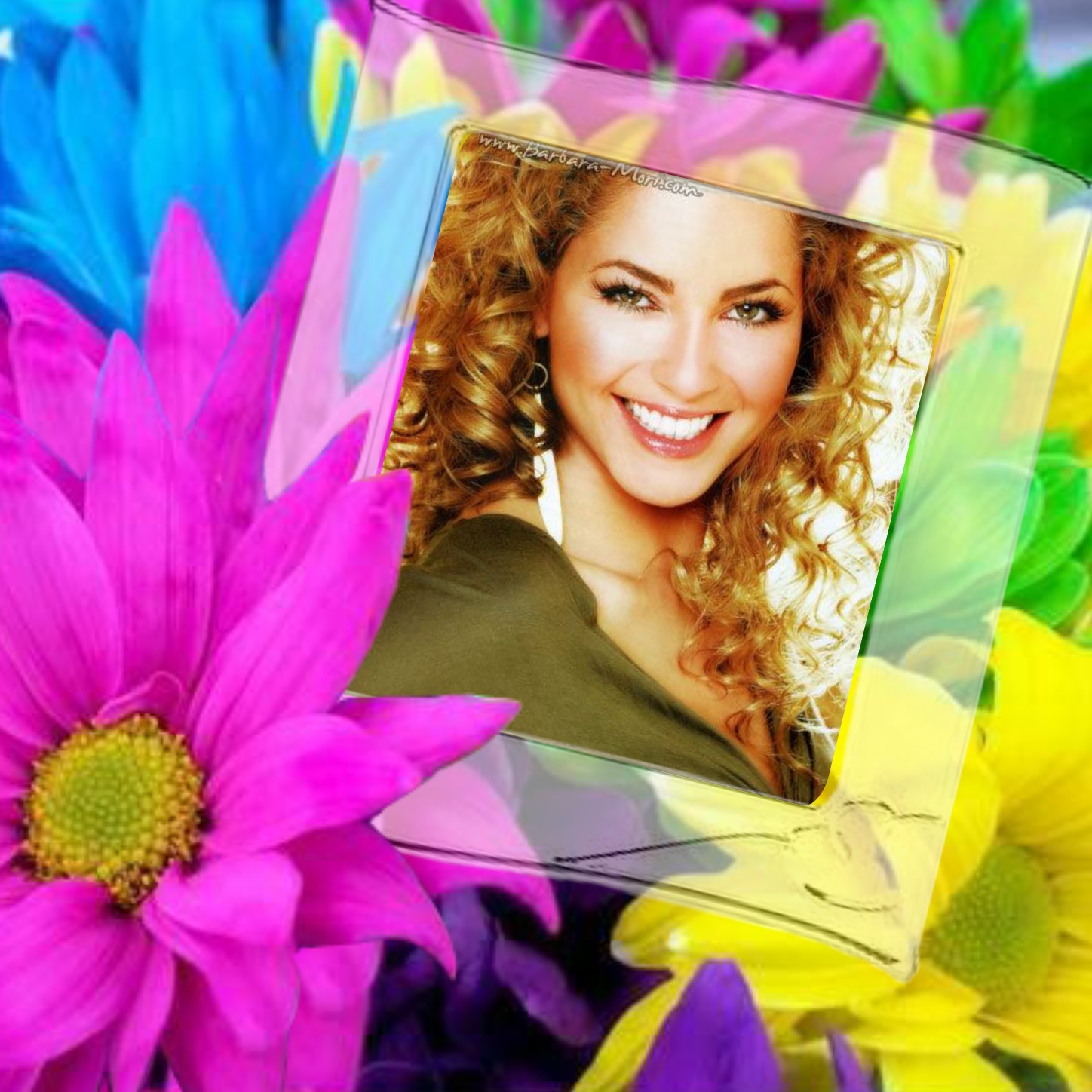 marycarmenkim's Picture Frames - 2009 June - Colorful flowers Nature ...