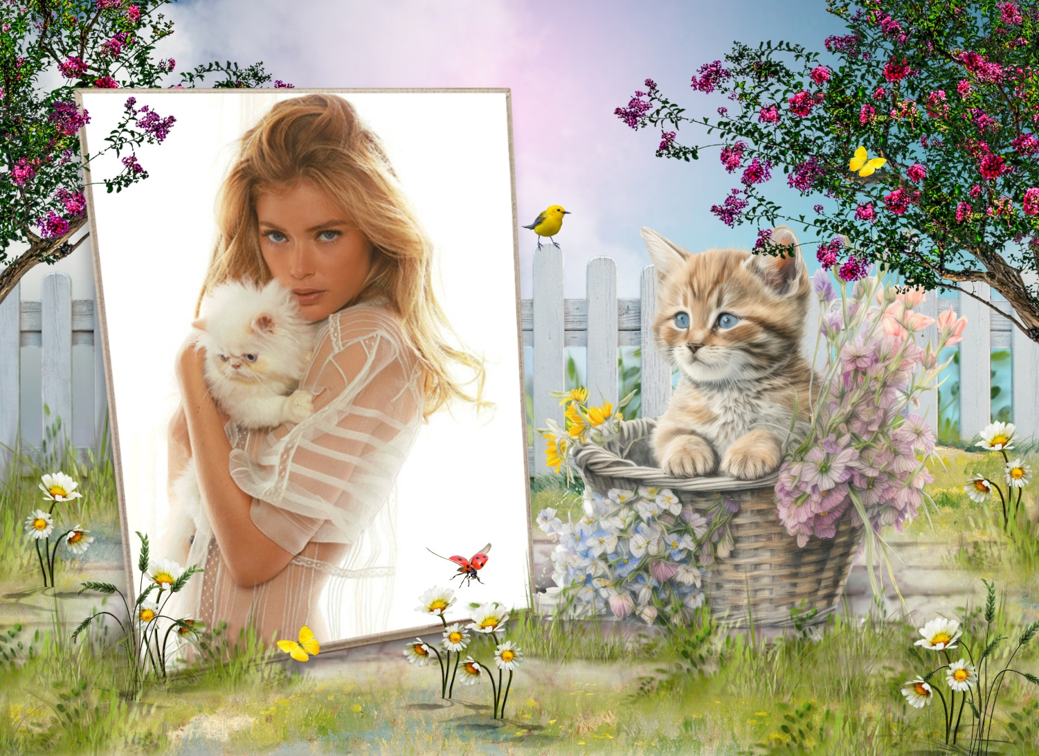 Elizabeth's CATS & DOGS 🐱 🐶 - Cats Kittens Pets Elizabeth - Cats ...