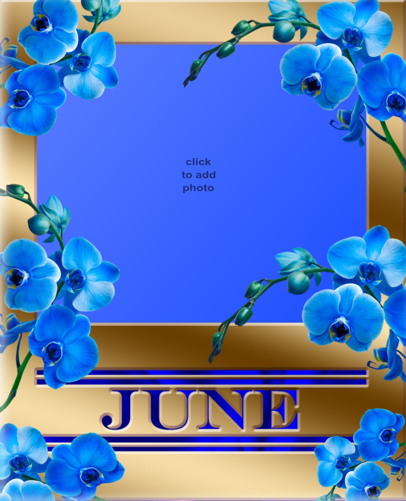 Sinnlich's Picture Frames - Monats Frames - June Blue Orchid Sinnlich ...