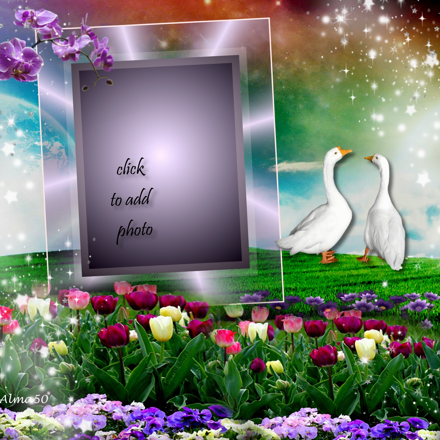 alma50's Picture Frames - 2012 March - Tulips Garden Alma50 picture ...