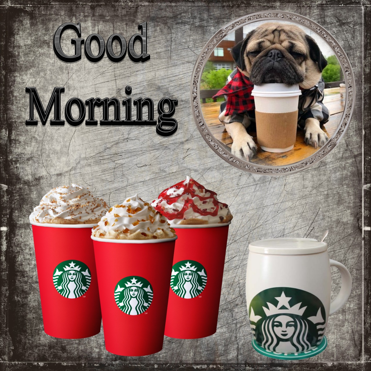 Mmhartley2's Everything Stream - Good Morning Coffee Starbucks - Good ...