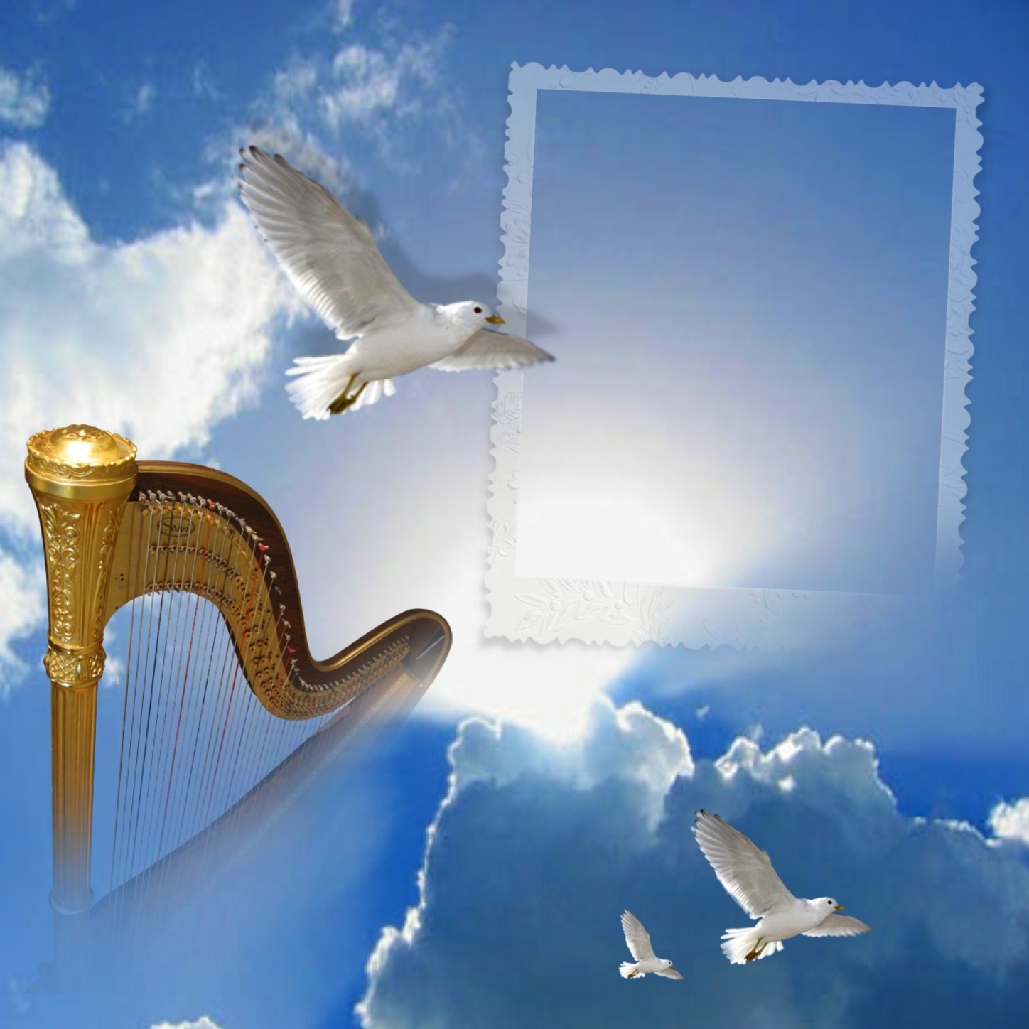 Elizabeth's IN MEMORY 🌤 - In Memory Loss Never Forgotten - In Memory ...