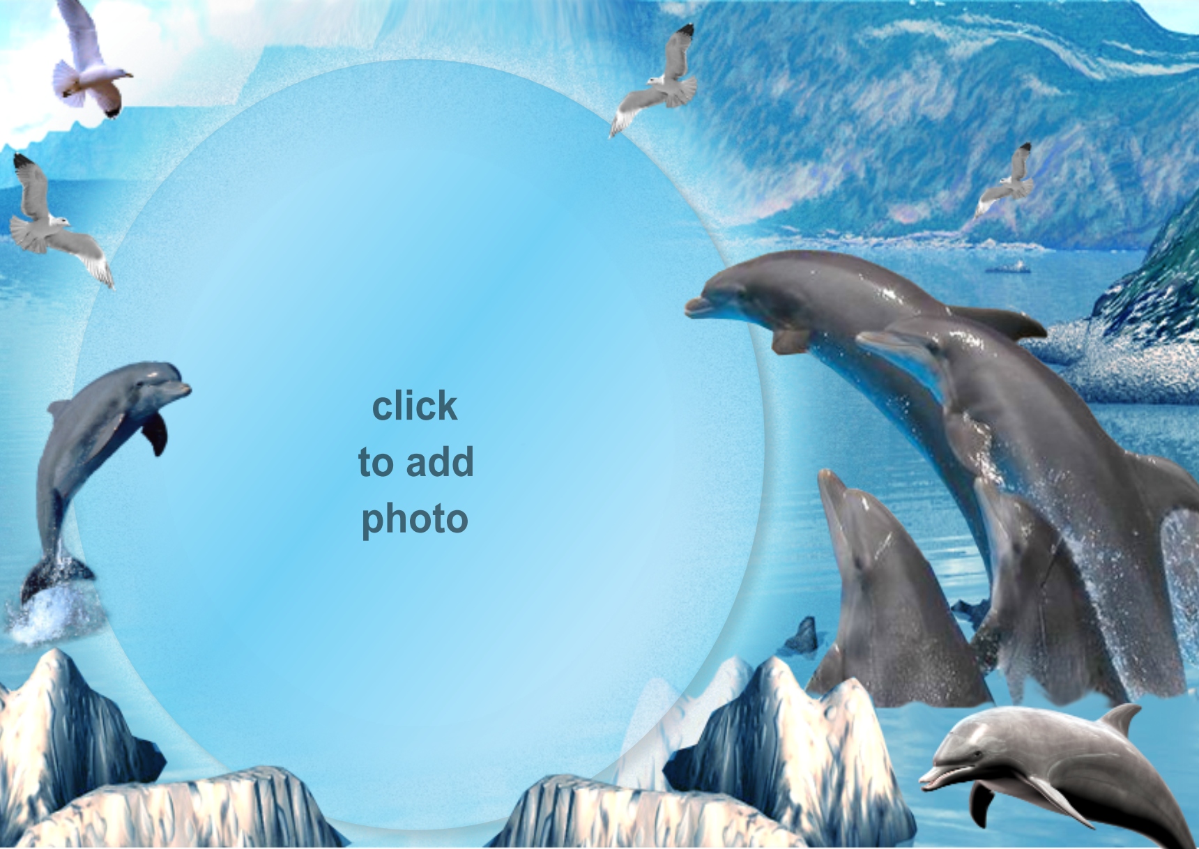 Sinnlich's Summer Frames - 2010 - Dolphin Joy Summer Sinnlich My Family ...