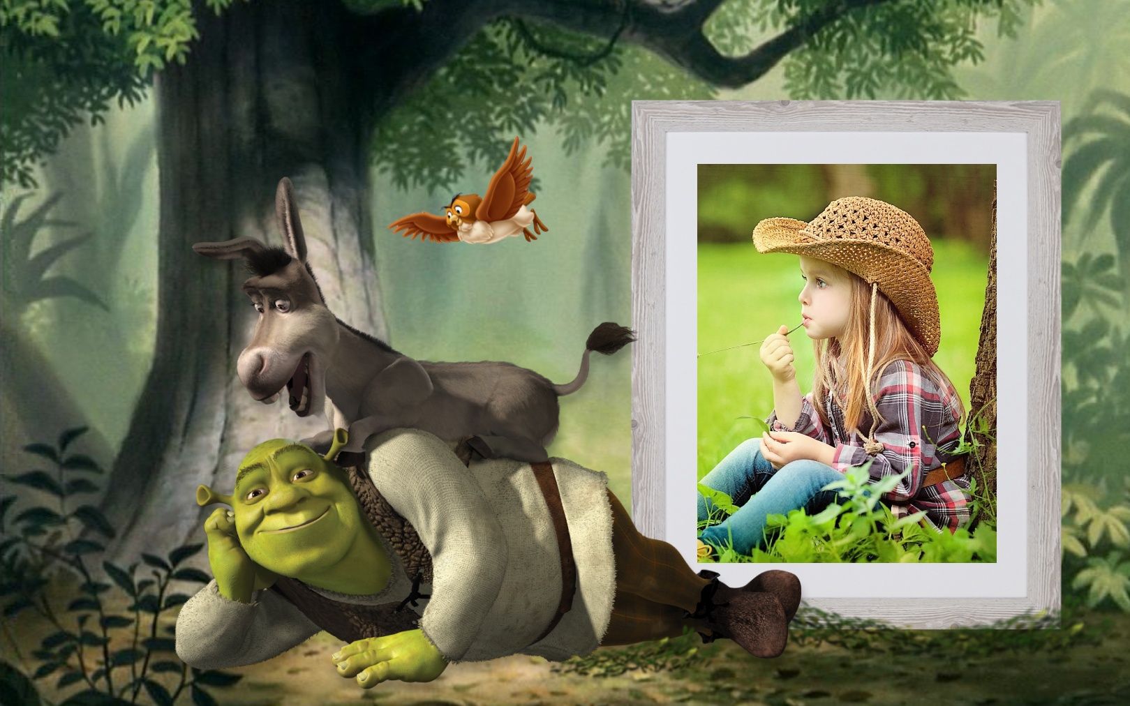 Elizabeth's DISNEY & CARTOONS 💛 - Disney Shrek - Disney Shrek Forest ...