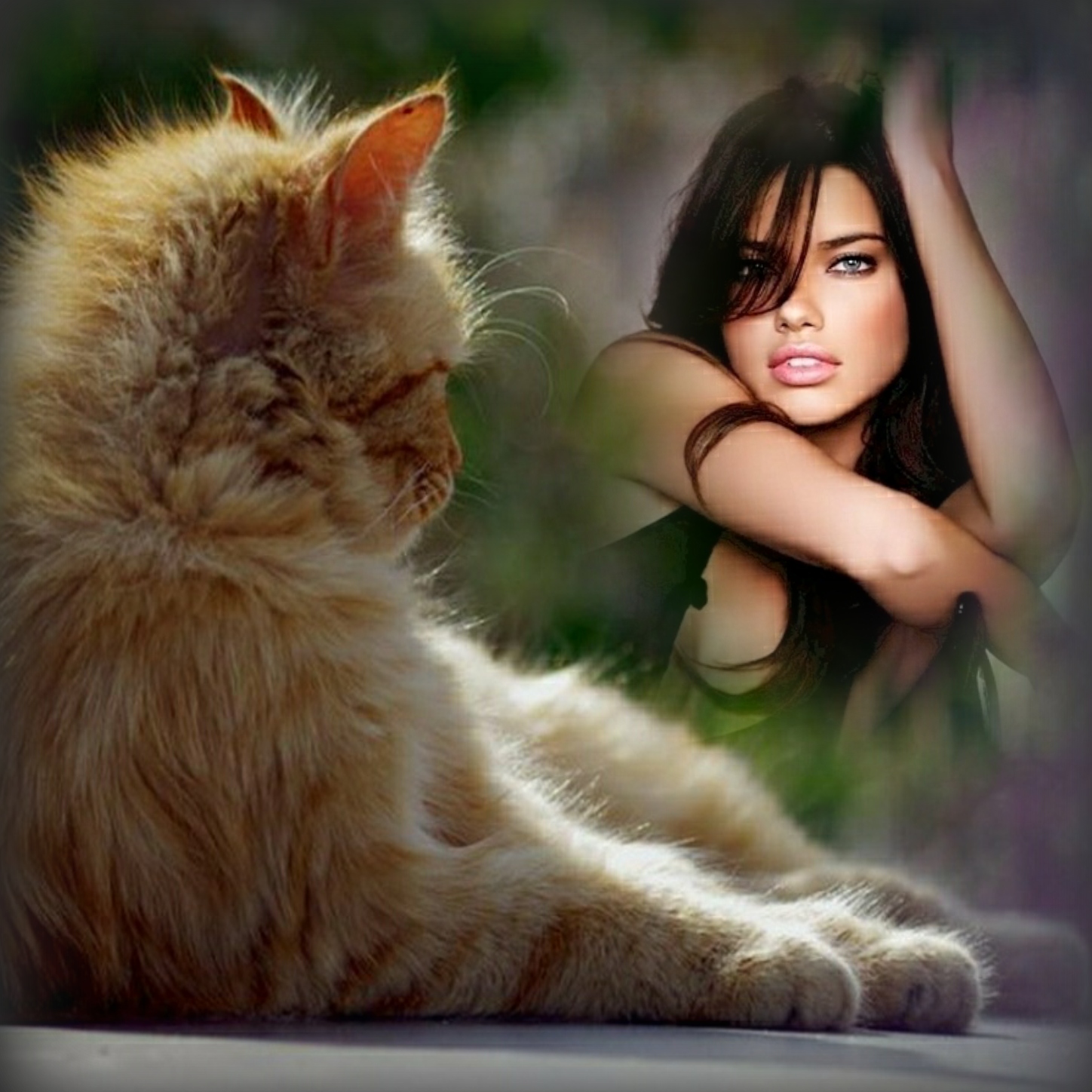 Elizabeth's CATS & DOGS 🐱 🐶 - Cats Pets Elizabeth - Cats Pets Elizabeth