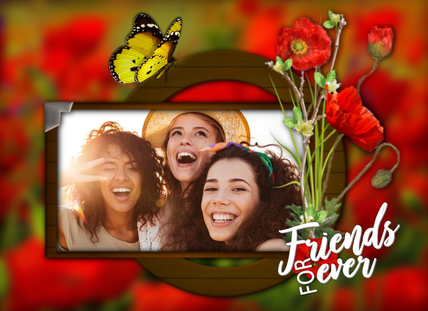 Adelaide's AMIGOS - AMIZADE - FRIENDS - FRIENDSHIP - Adelaide ...