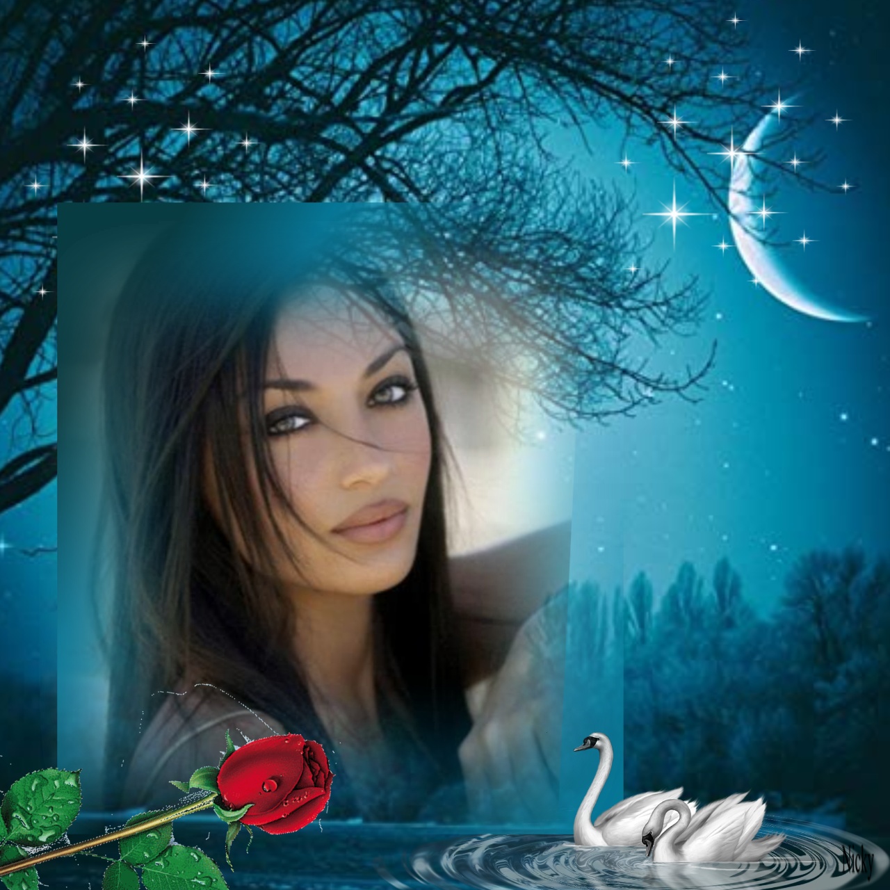 NICKY47's Sunsets, Scenery and Nature Frames - 2019 - Romantic at night ...