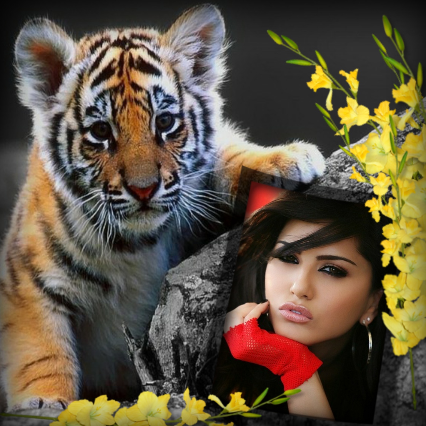 Elizabeth's ANIMALS & WILDLIFE 🙈 - Tiger Tiger Cub Elizabeth - Tiger ...