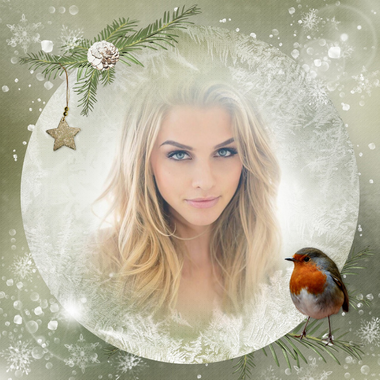 Elizabeth's WINTER ️ 2/2 - Winter Winter Robin Robin - Winter Winter Robin Robin Sphere Winter ...