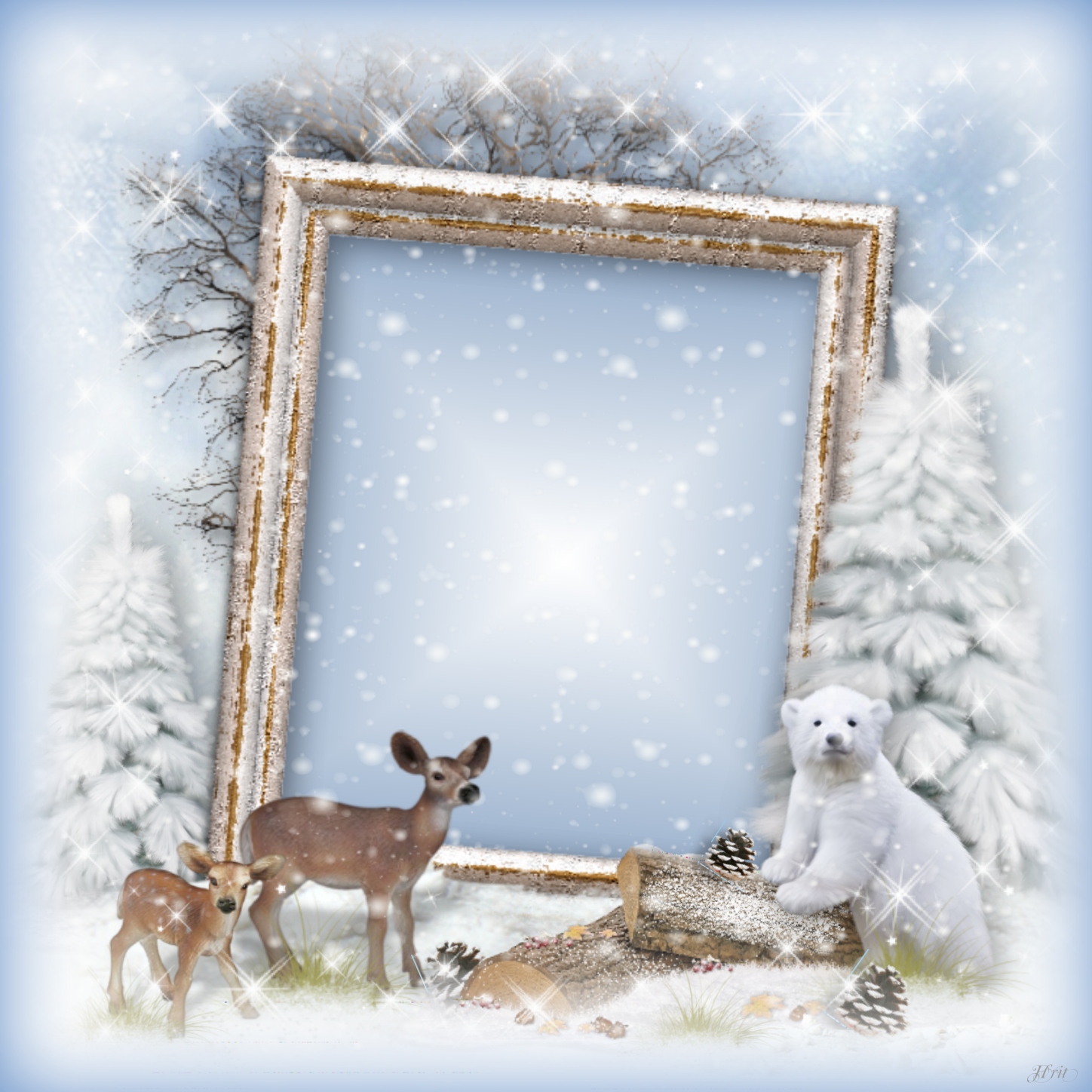hrit's Winter Frames - 2015 - Winter Day Hrit first Day Of Winter ...
