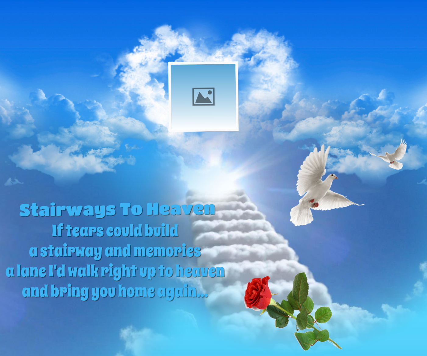 pussycatlady22's In Memory Of... Frames - 2018 February - In Loving ...