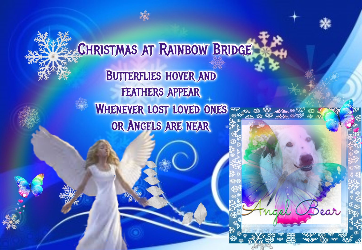 Allison Cameron-Dicker's Rainbow Bridge, pet loss - Christmas at ...