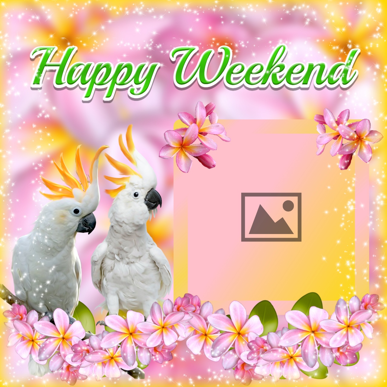 Sinnlich's Have a Great... Frames - 2023 - Parrot Sinnlich Happy ...