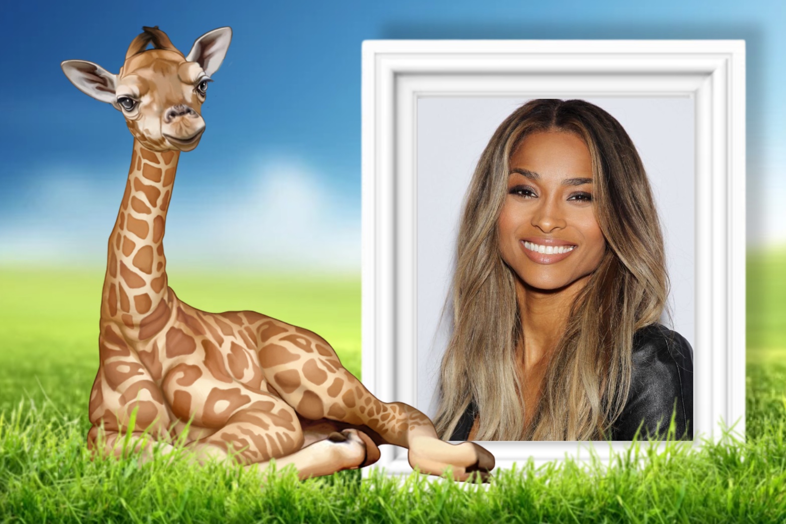 Nette's Wildlife,Animals, Pets, WoodlandAnimals - Wildlife ...