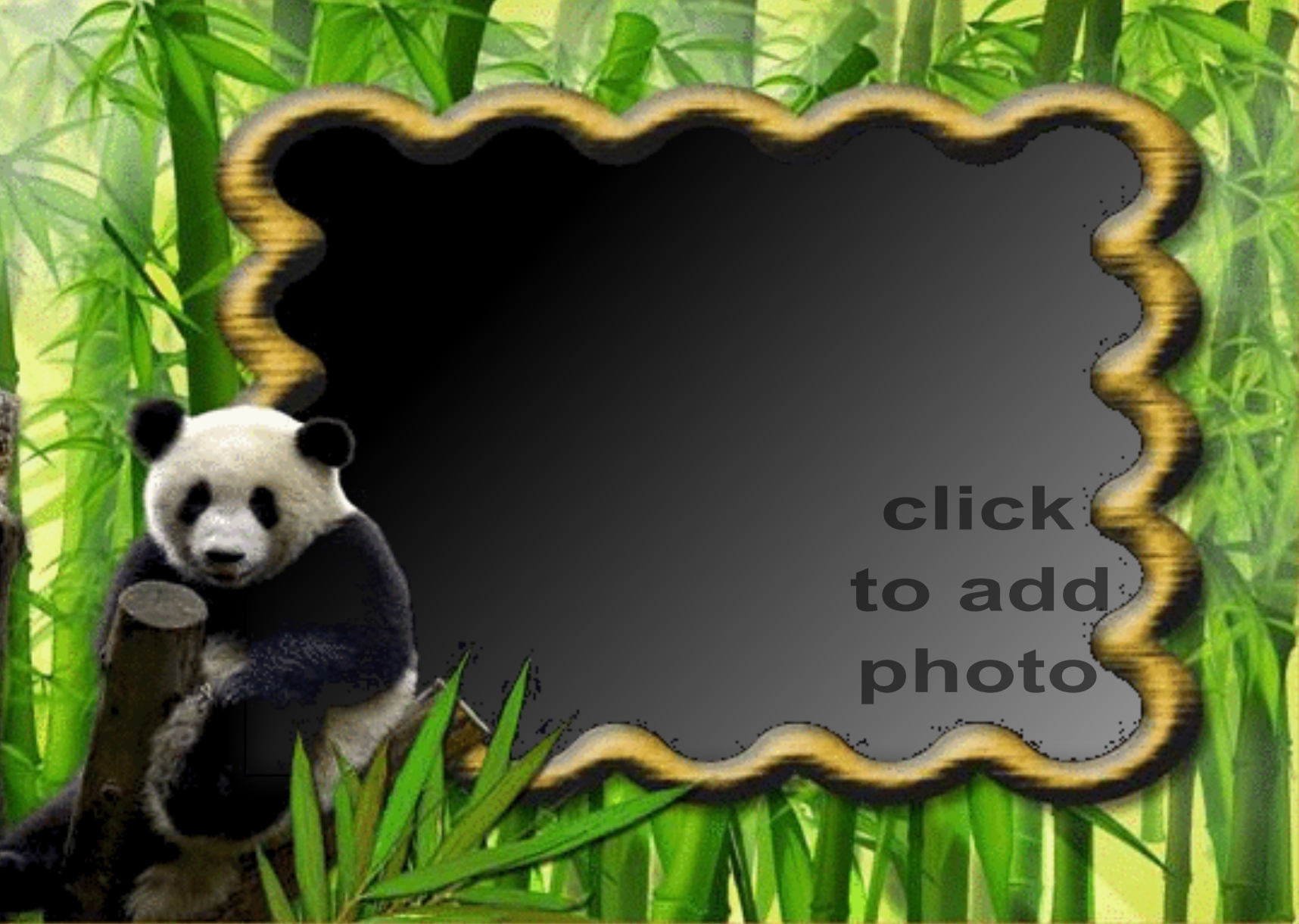 ancyna78's Picture Frames - 2009 September - Panda Frame Ancyna78 ...