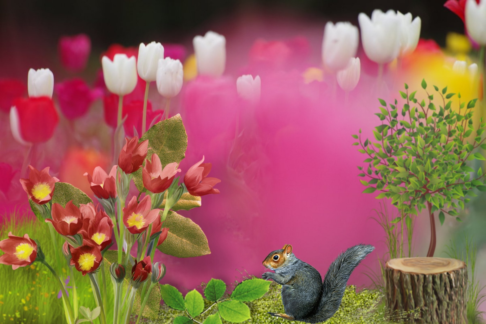 Emily50's Abstract frame - Abstract Colorful Nature - Abstract Colorful ...