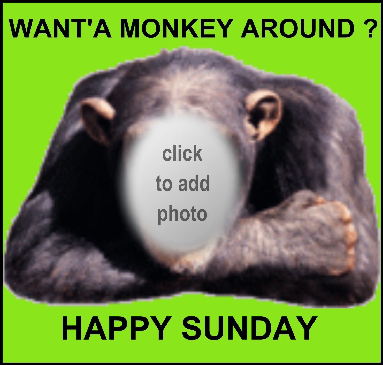 gypsy7352's Day of the Week Frames - 2007 - 2007 - Sunday Monkey Sunday ...